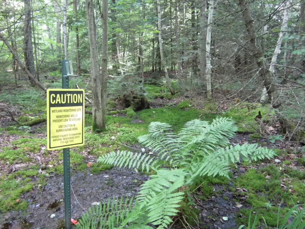Botany/Wetlands - Land & Natural Resources